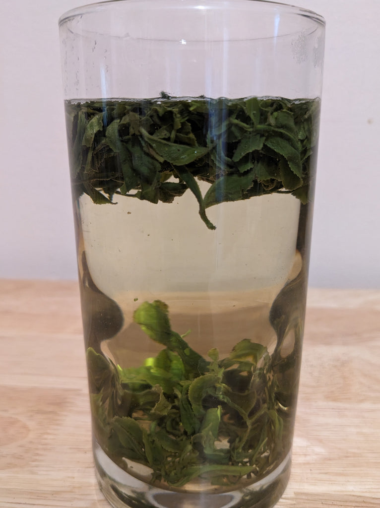 Organic Song Luo Green Tea – Sparrowtail Teas