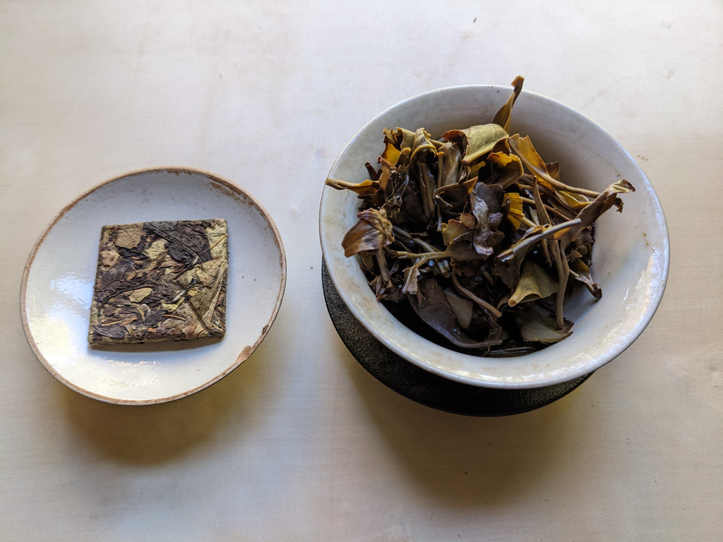 Dancong Bai Cha Bing White Tea Mini Cakes – Sparrowtail Teas